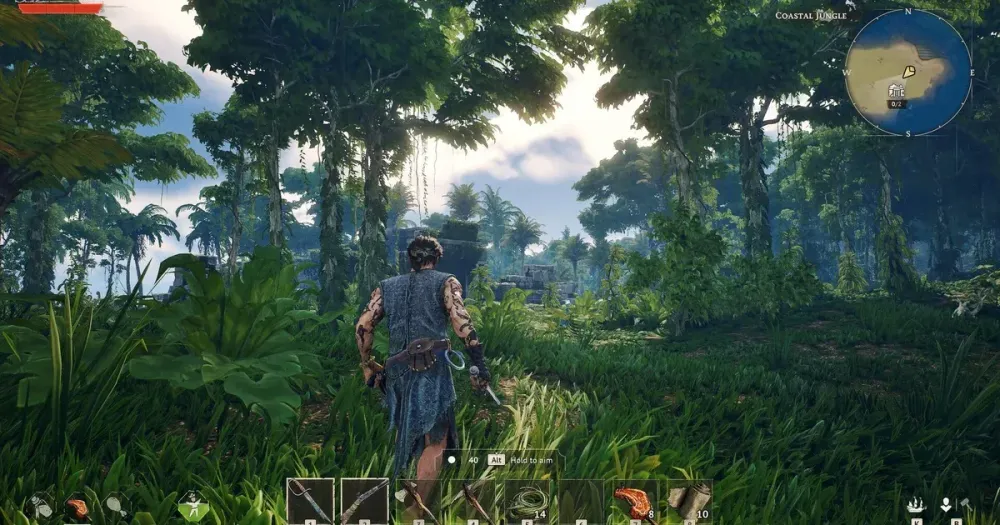 Windrose Guide: All Coastal Jungle Discoveries | GAMES.GG